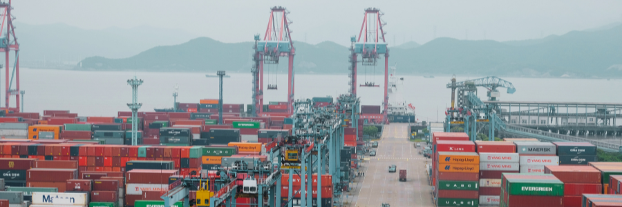 Top 10 Container Ports in the World | Pangea Network