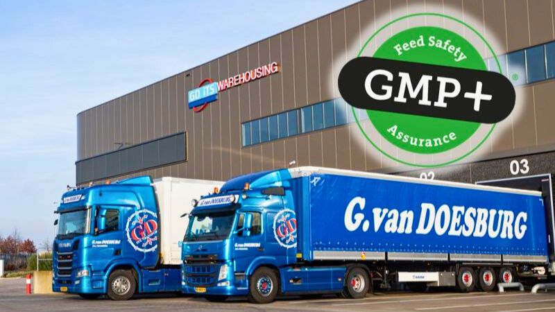 Our Inspiring Freight Forwarders Stories | Pangea Network